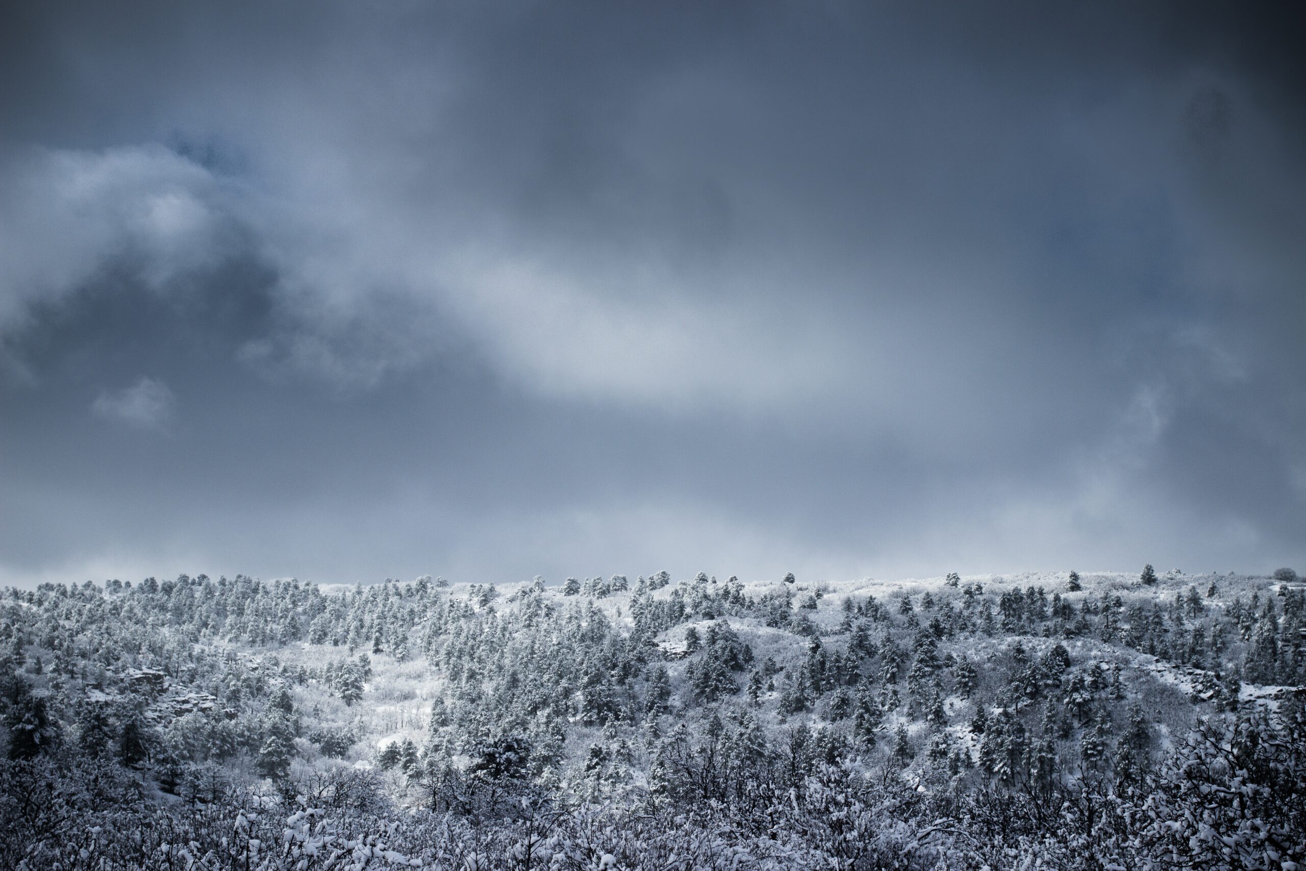 Does Broadmoor Outfitters Run Tours in the Winter? | Broadmoor Outfitters
