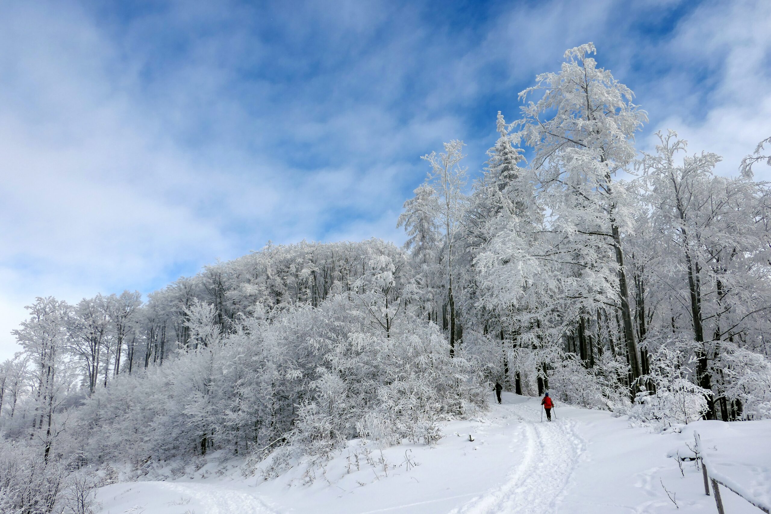 Reasons to Hike with a Guide in the Winter | Broadmoor Oufitters