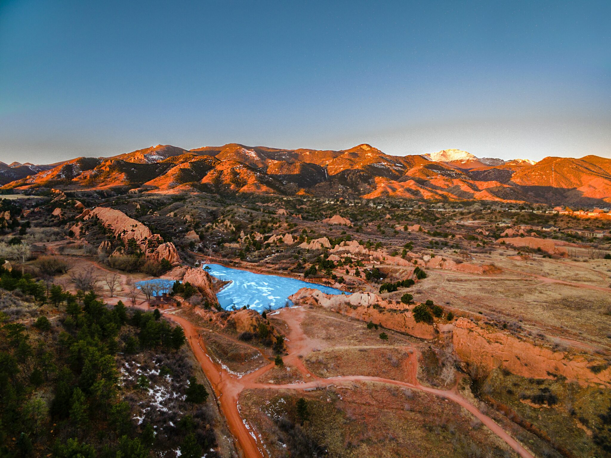 Where to See Wildflowers in Colorado Springs | Broadmoor Outfitters