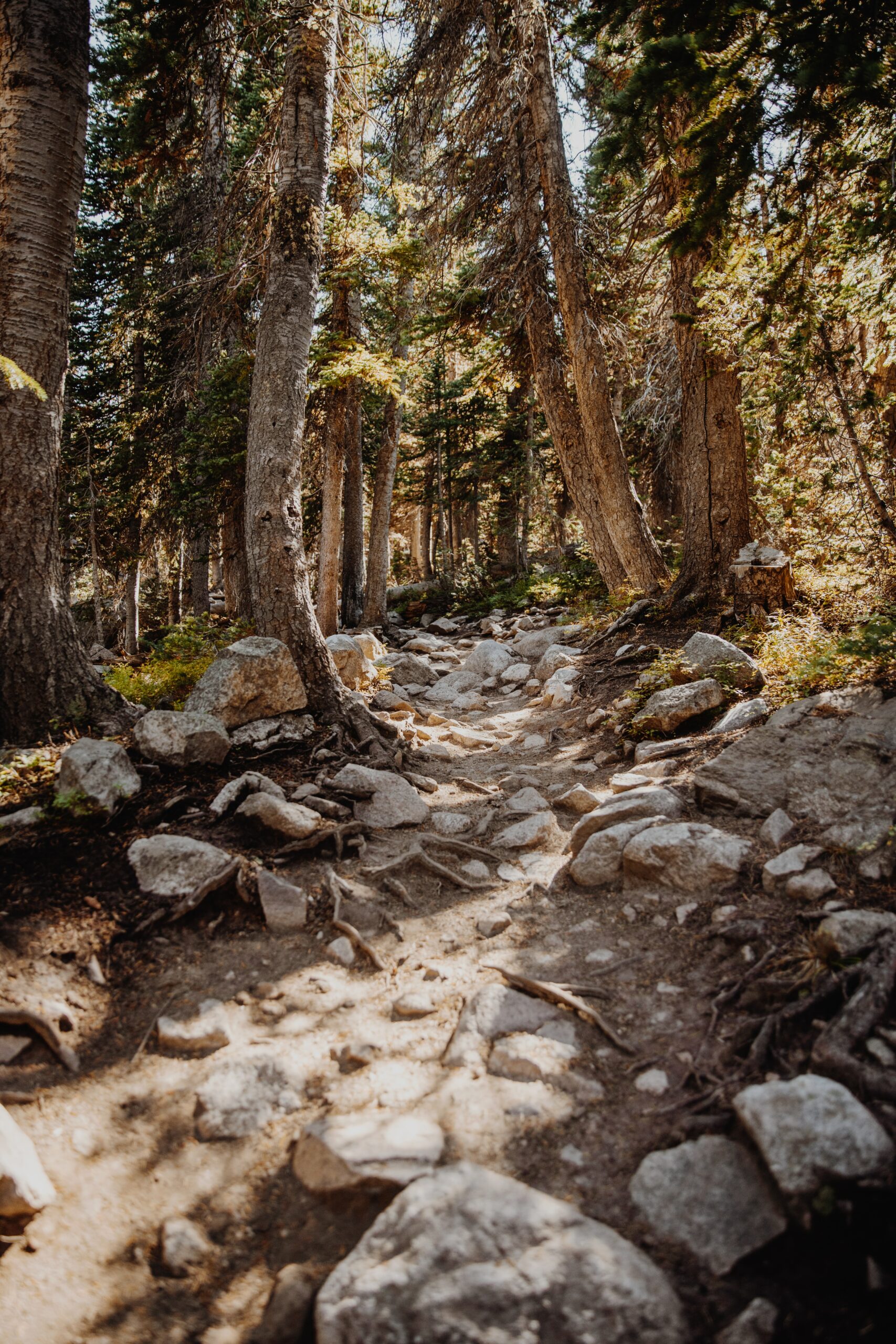 How to Check Trail Conditions for Hiking in Colorado