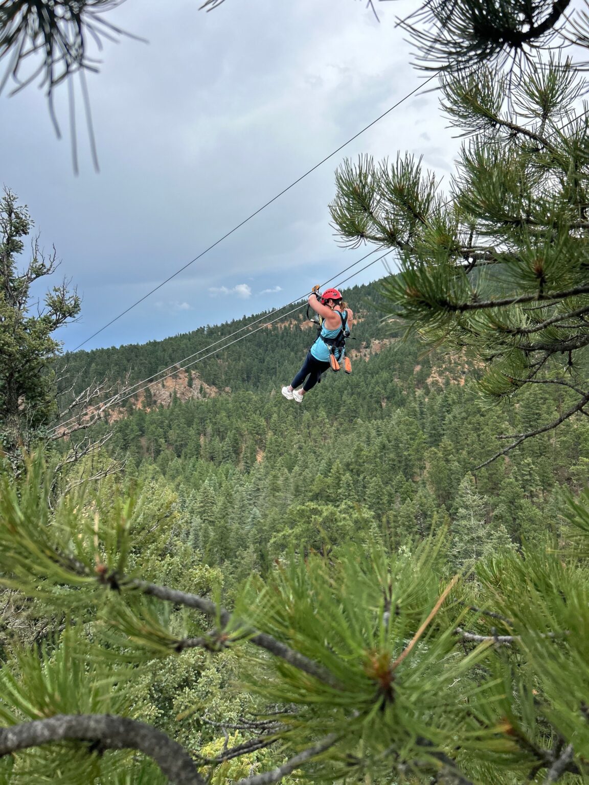 Is Ziplining for You? Here's What you Need to Know